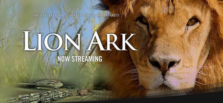 Award-winning rescue documentary, Lion Ark, is streaming for the first ...